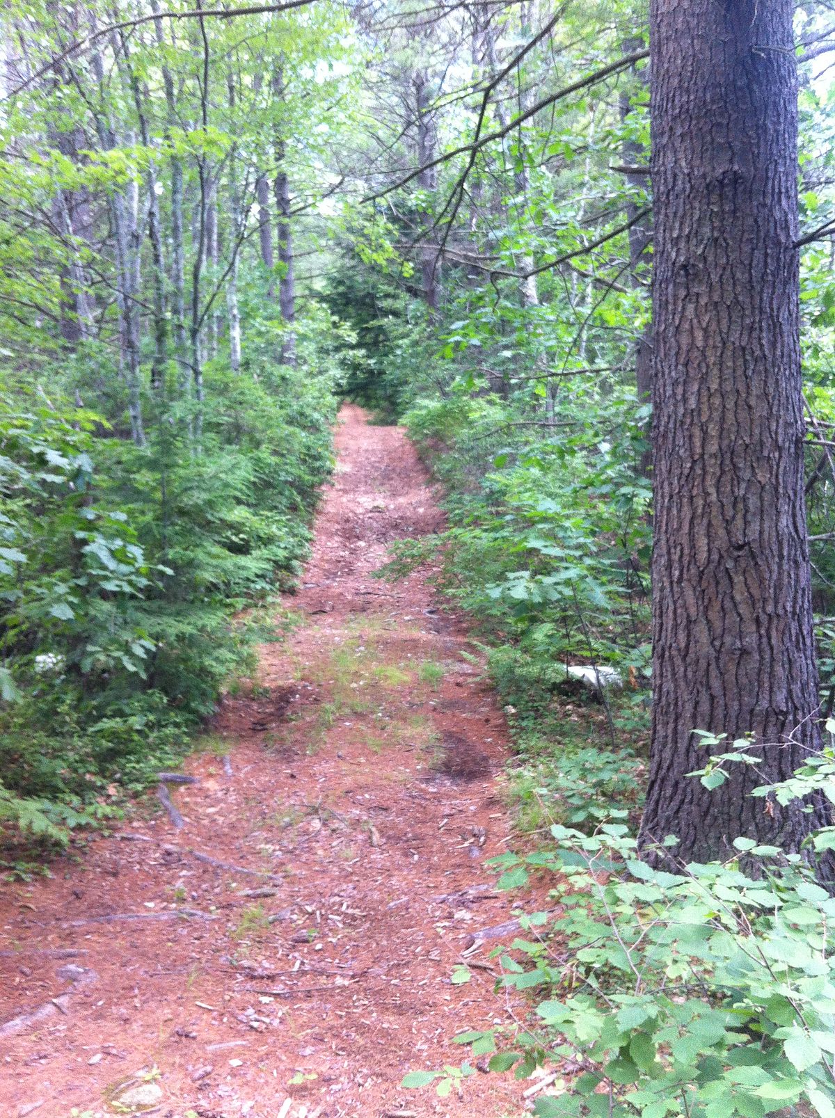 Grant Received to Improve the Trails on the South Athol Conservation ...
