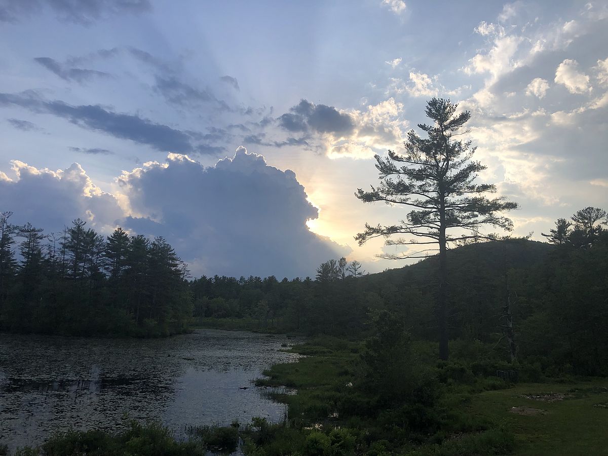 Morning Hikes on Tully Mountain. A reflection, by Emma Ellsworth ...