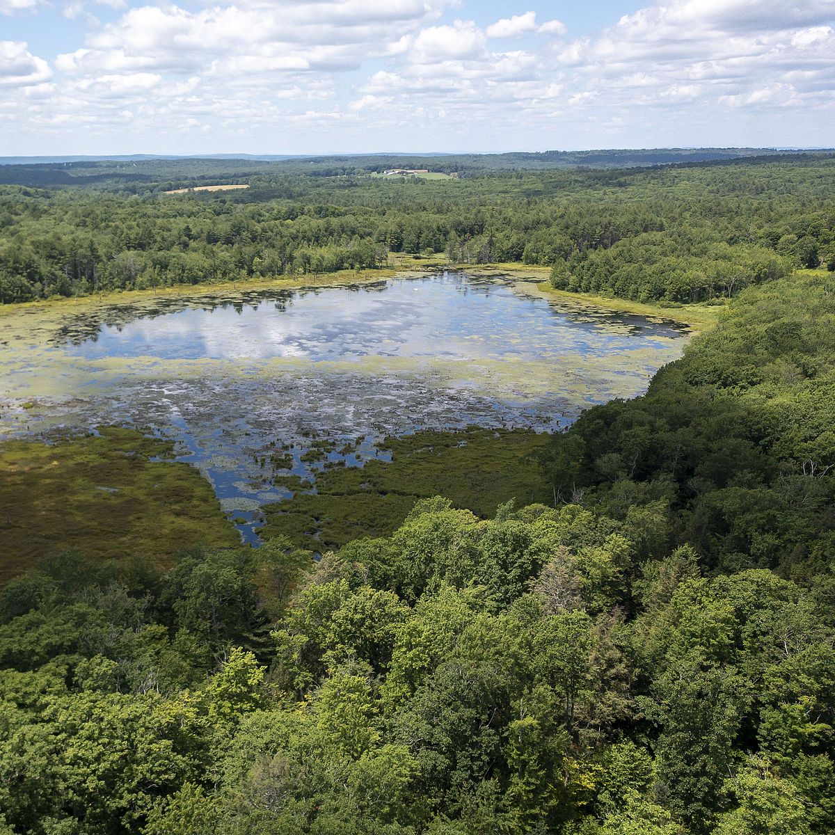 New Lake Monomonac Partnership Begins with North County Land Trust ...