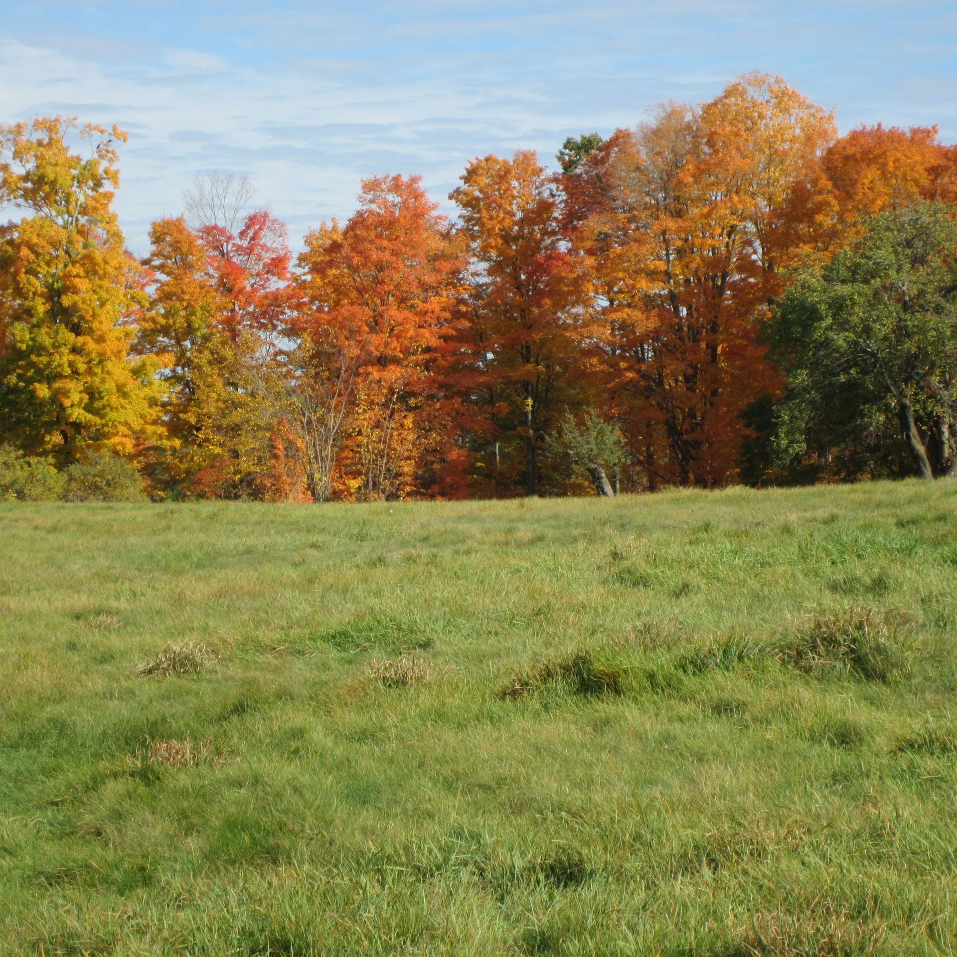 Home - Mount Grace