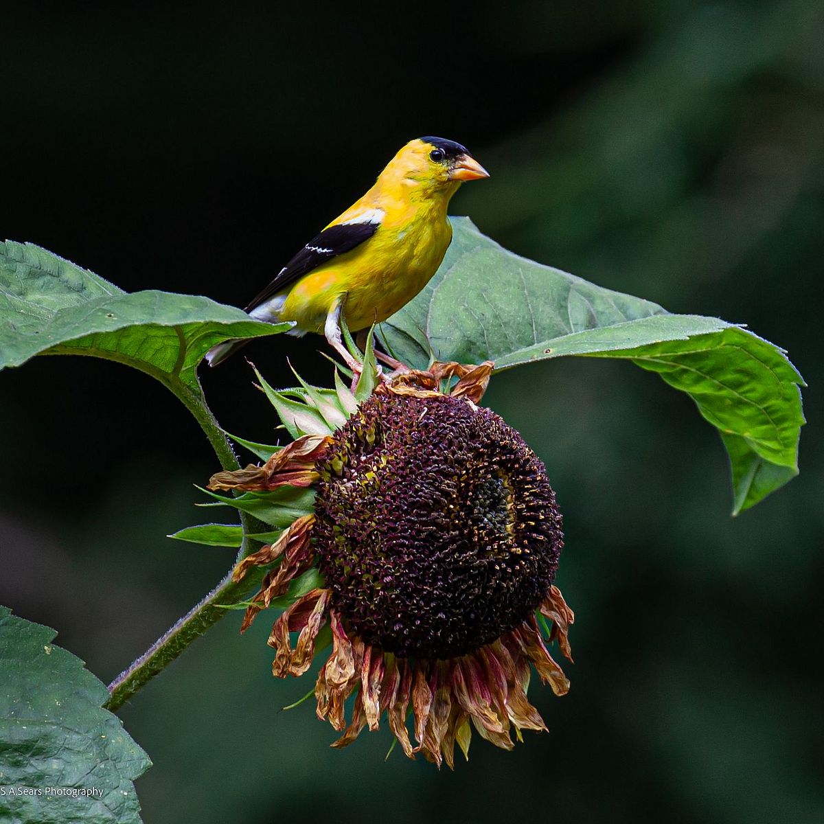 Join our new Photography Club - Mount Grace