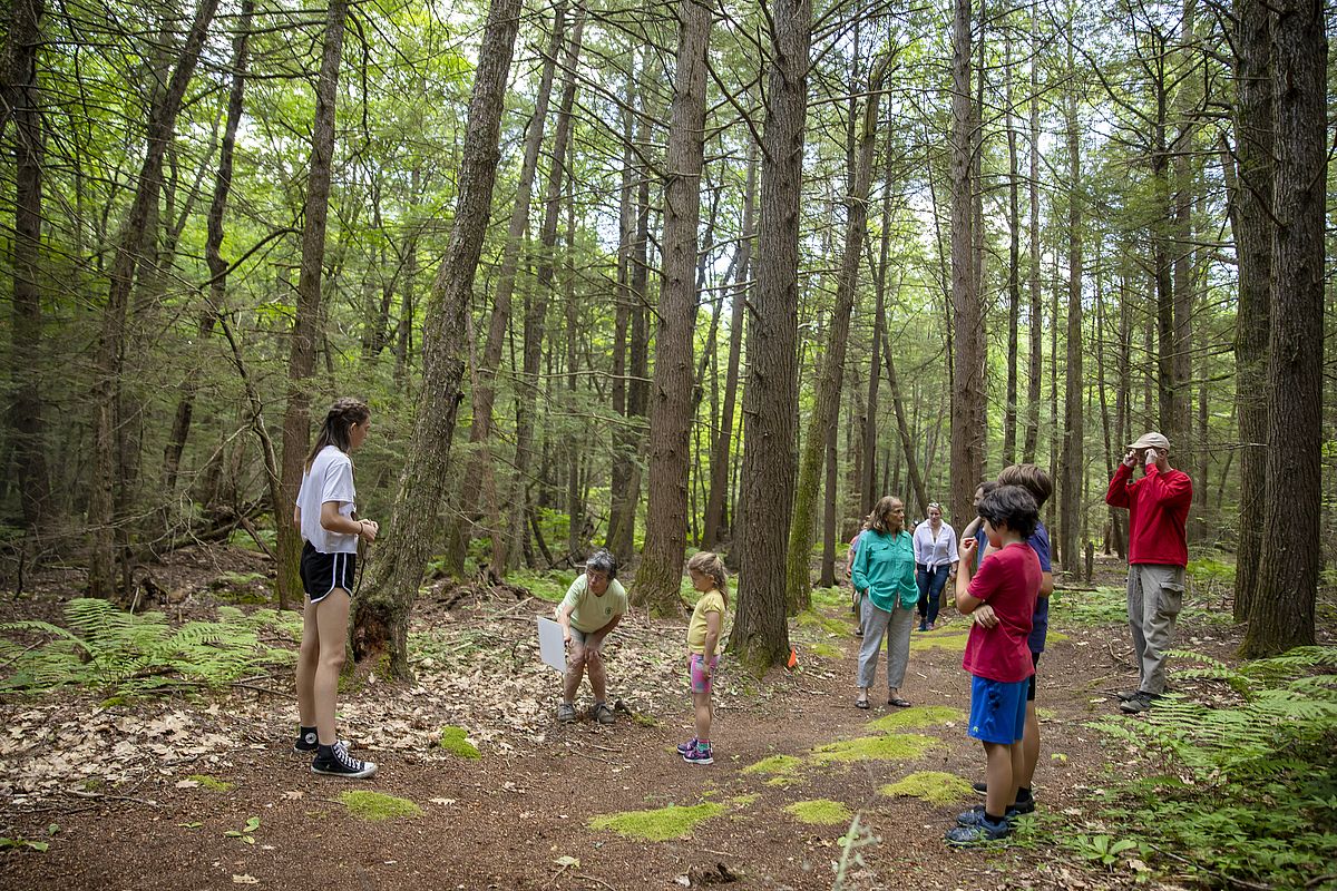 On the Trails: Cutthroat Brook Tree Farm - Mount Grace