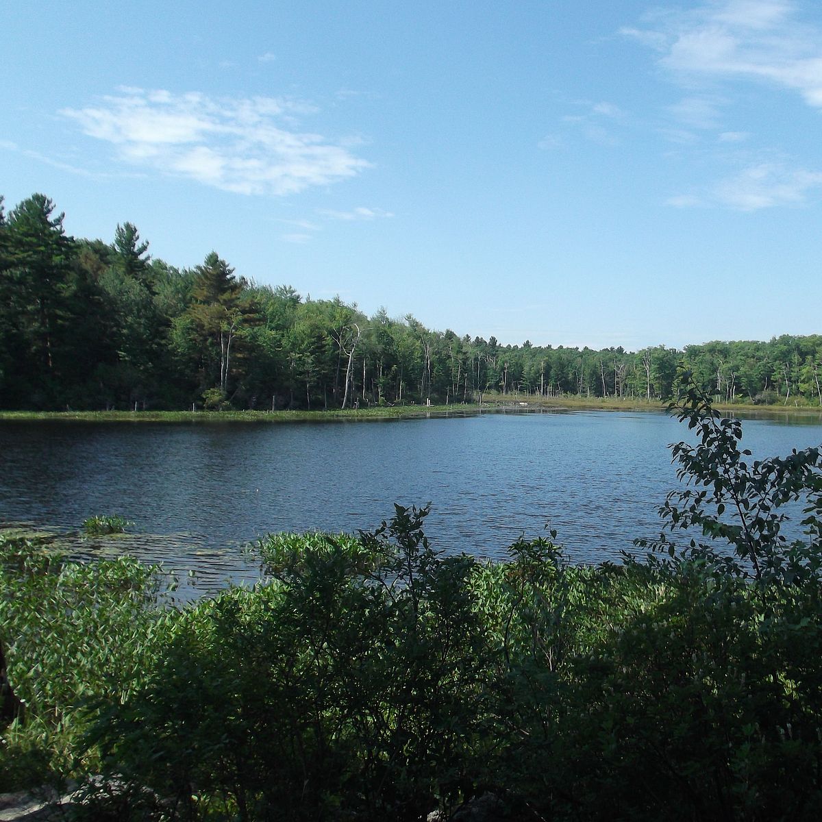 Muddy Pond: Conserving A Beloved Community Space - Mount Grace
