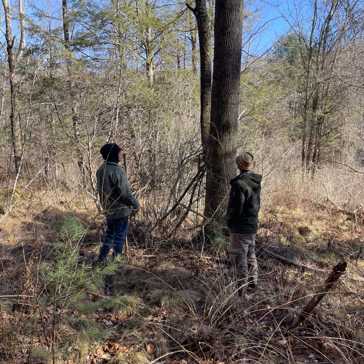 Stewardship Innovations - Mount Grace