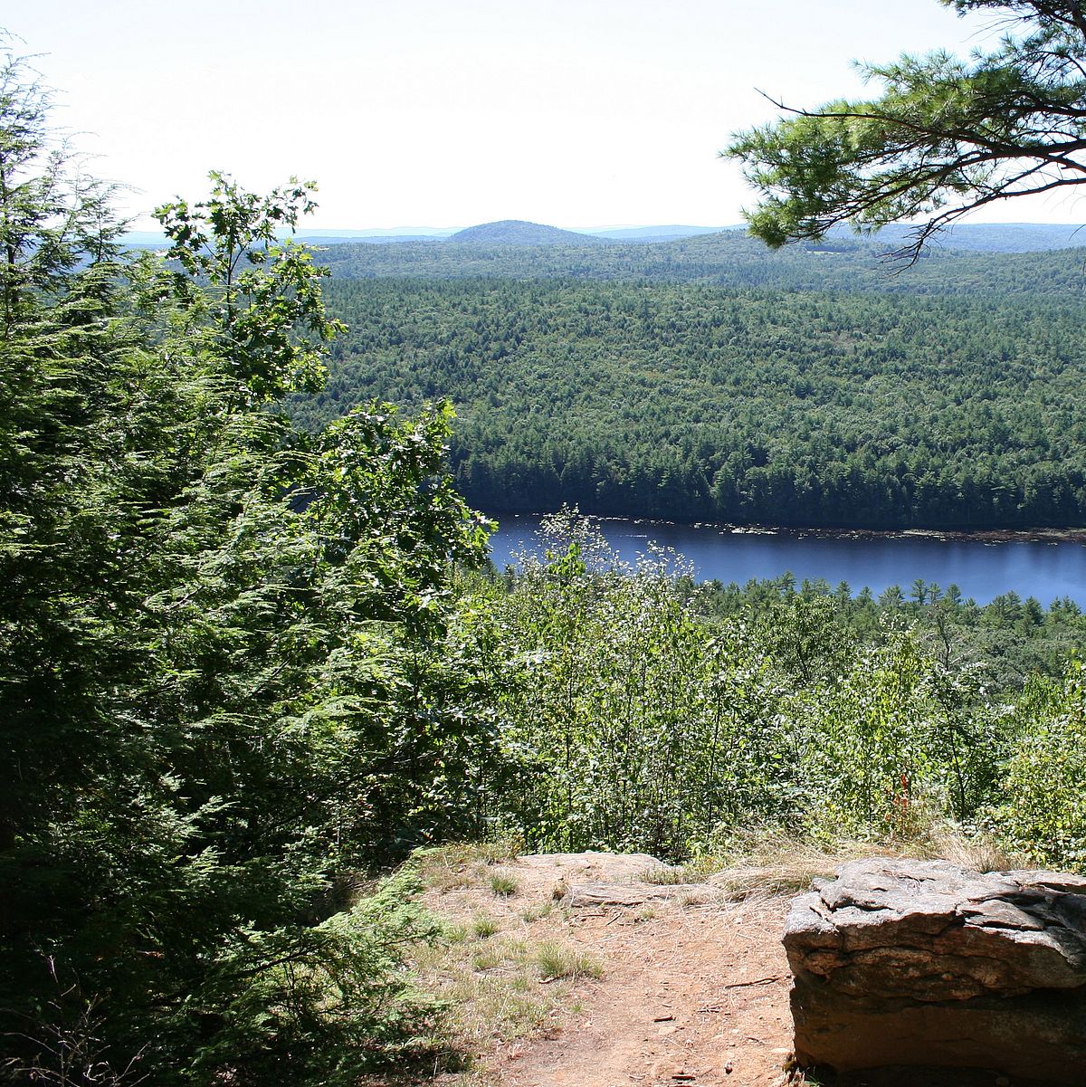 On the Trail: Tully Mountain. By Allen Young - Mount Grace