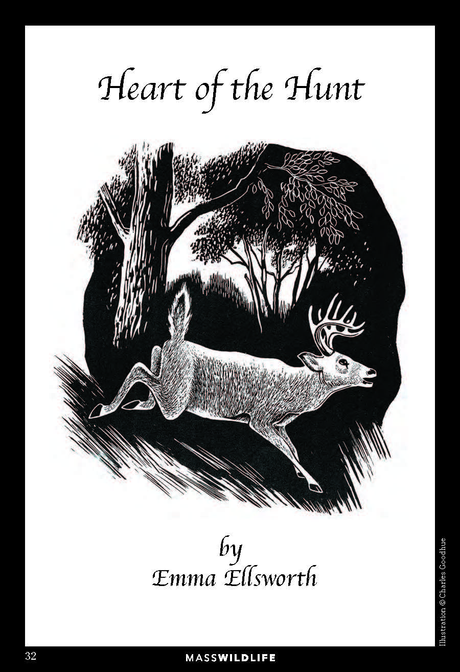 Emma's Short Stories - Mount Grace