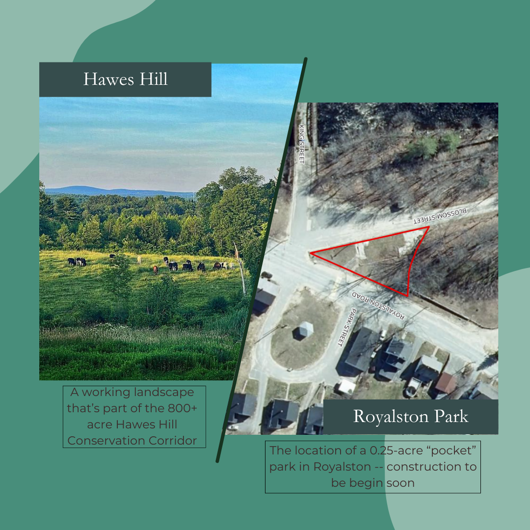 From Big to Small: A Landmark Year for Mount Grace - Mount Grace