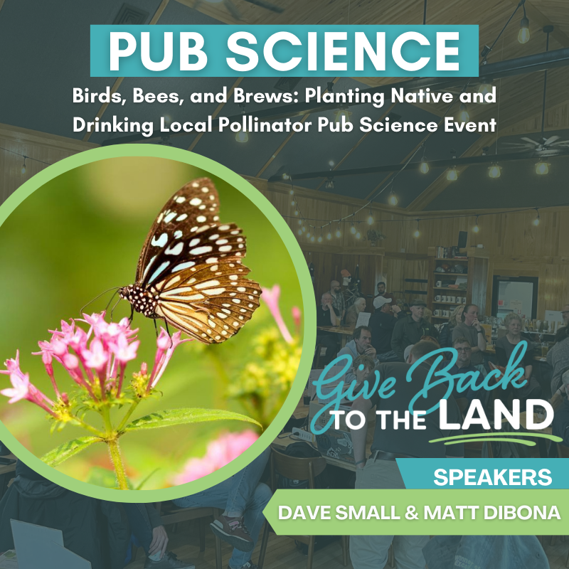 Pollinator Pub Science - Mount Grace